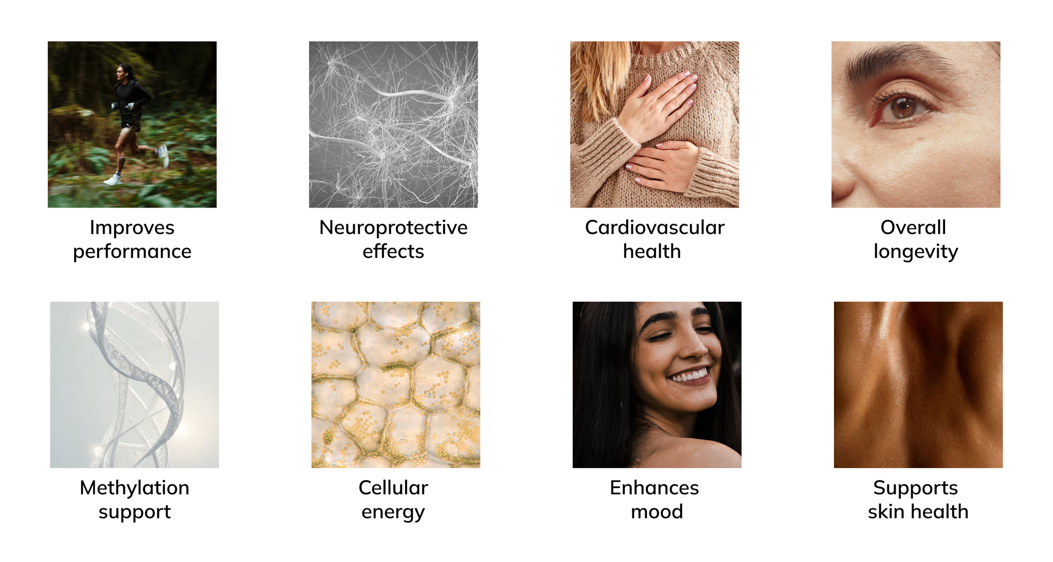 Booster Science – AVEA