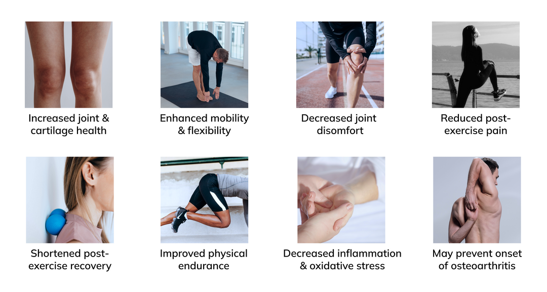 Mobiliser Science – AVEA