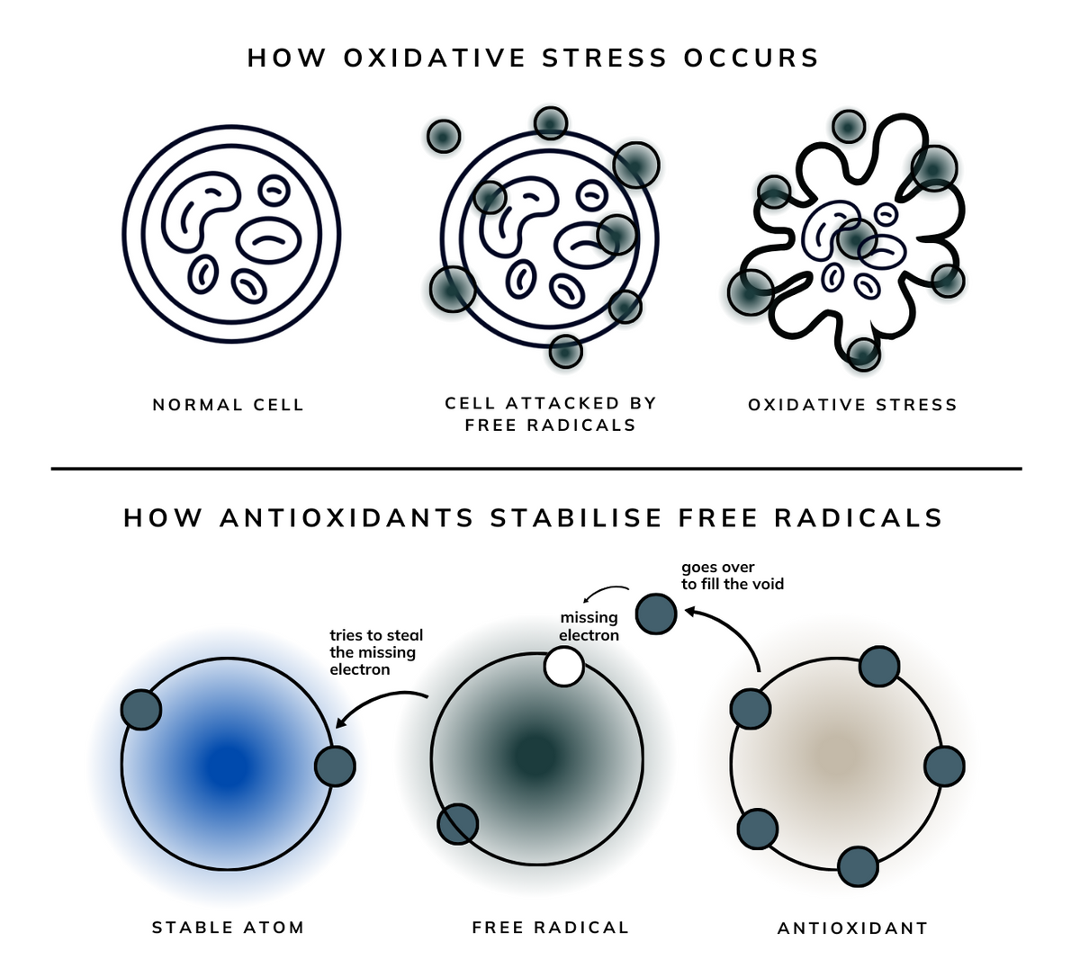 Cell Primer Science – AVEA