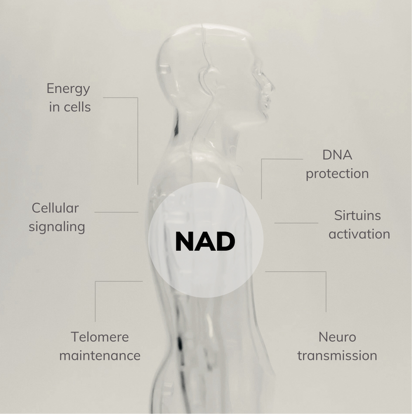 NAD Science – AVEA
